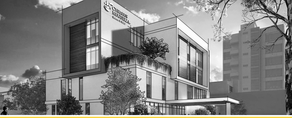 Sector salud – irkon